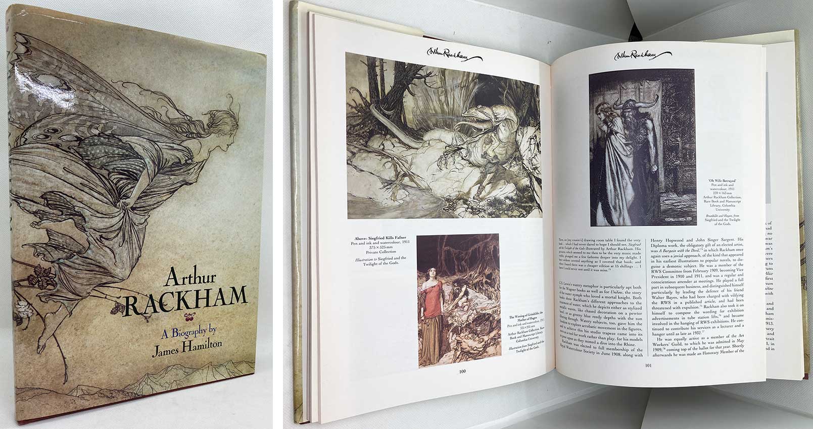 Arthur Rackham : A Biography(Hamilton, James) / かげろう文庫 / 古本、中古本、古書籍の通販は ...