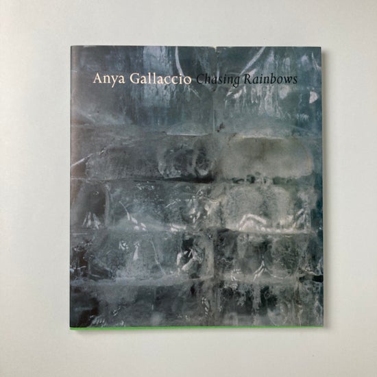 Anya Gallaccio Chasing Rainbows / 古本、中古本、古書籍の通販は「日本の古本屋」