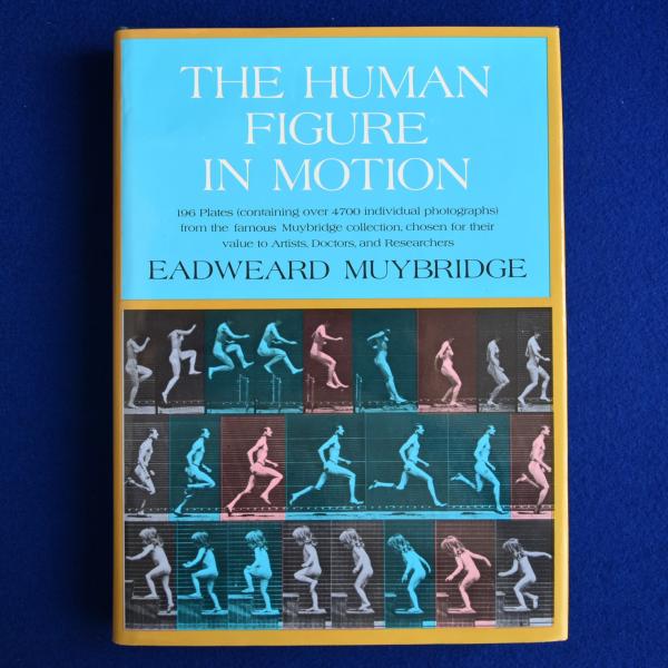 THE HUMAN FIGURE IN MOTION エドワード・マイブリッジ(Eadweard Muybridge) / 古本、中古本、古 ...