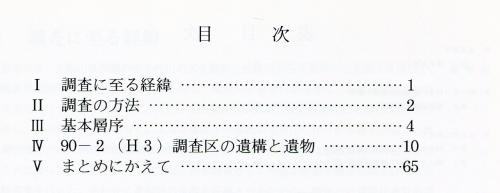 池島・福万寺遺跡発掘調査概要VI(6) 90-2(H3)調査区の概要 / ハナ書房 / 古本、中古本、古書籍の通販は「日本の古本屋」